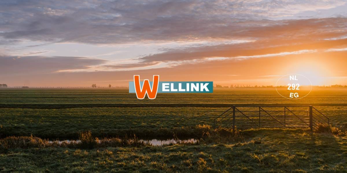 F. Wellink Lekkerkerk BV - Stratego Development