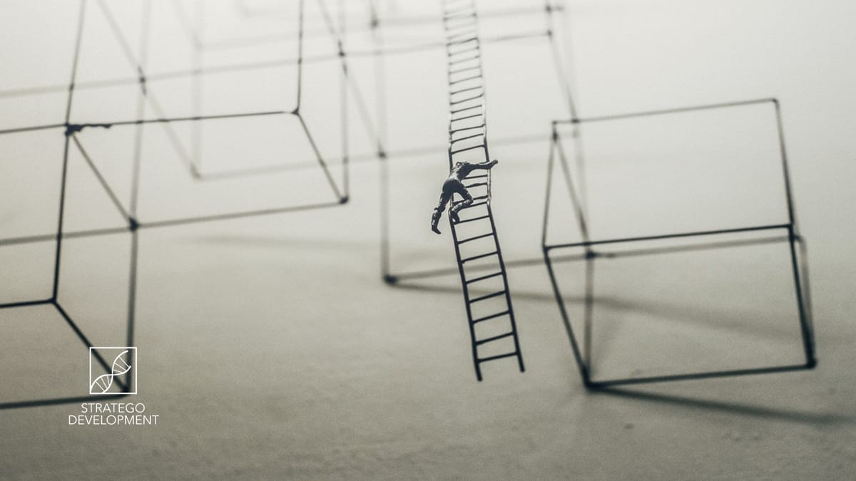 Wat is leiderschap? - Stratego Development